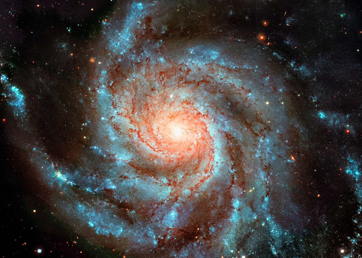 'The Pinwheel Galaxy' Poster, picture, metal print, paint by Mango Art ...