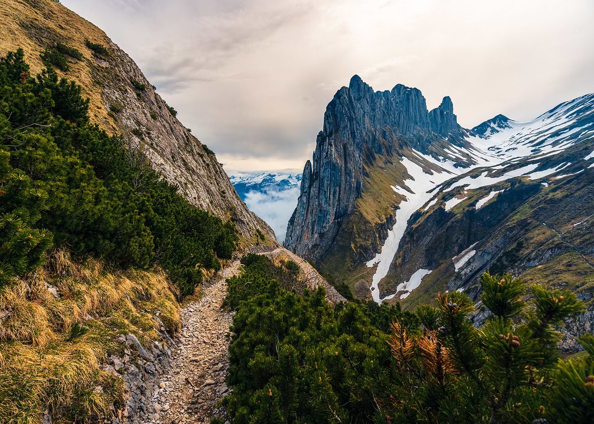 'Rocky path in Swiss Alps' Poster, picture, metal print, paint by ...