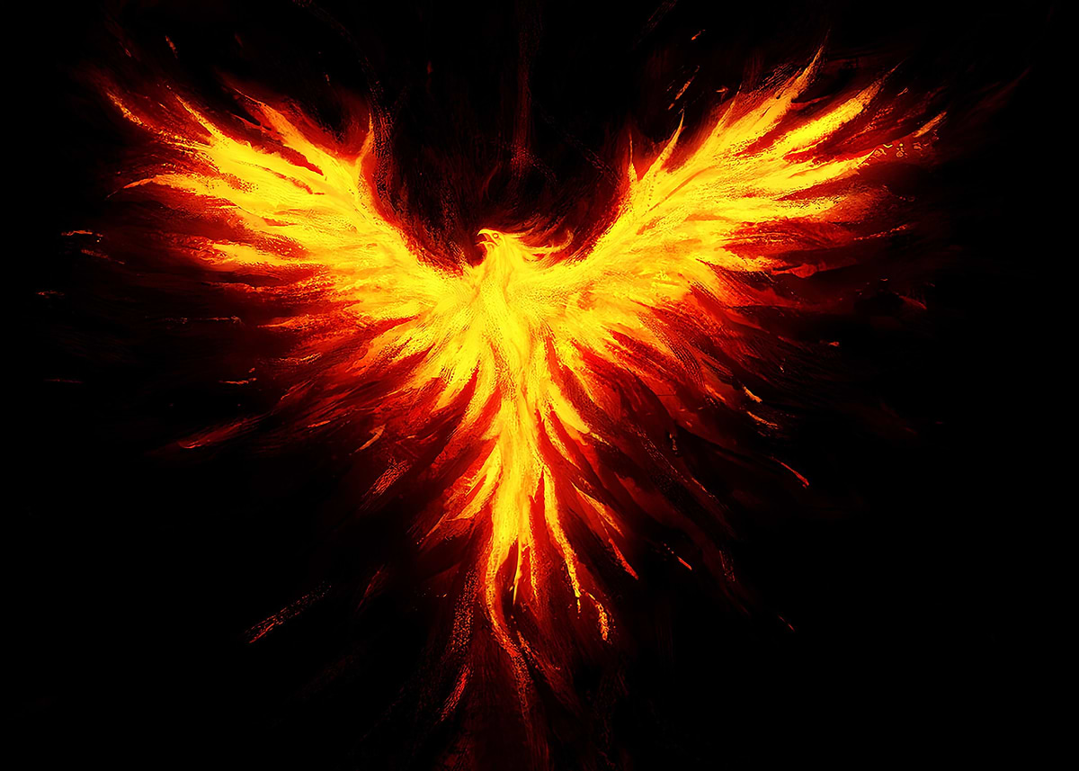 'Fire Zodiac Phoenix Legend' Poster, picture, metal print, paint by ...