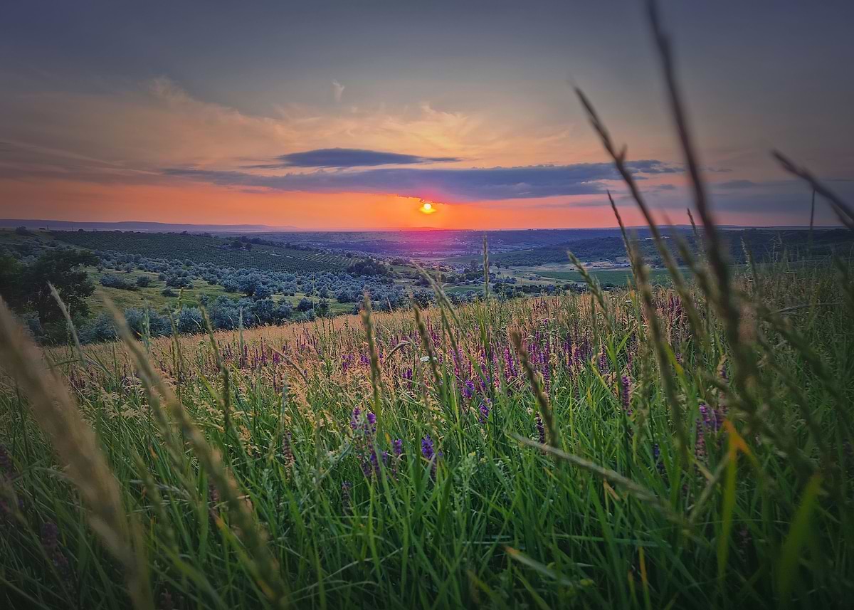 'Summer sunset over valley' Poster, picture, metal print, paint by ...