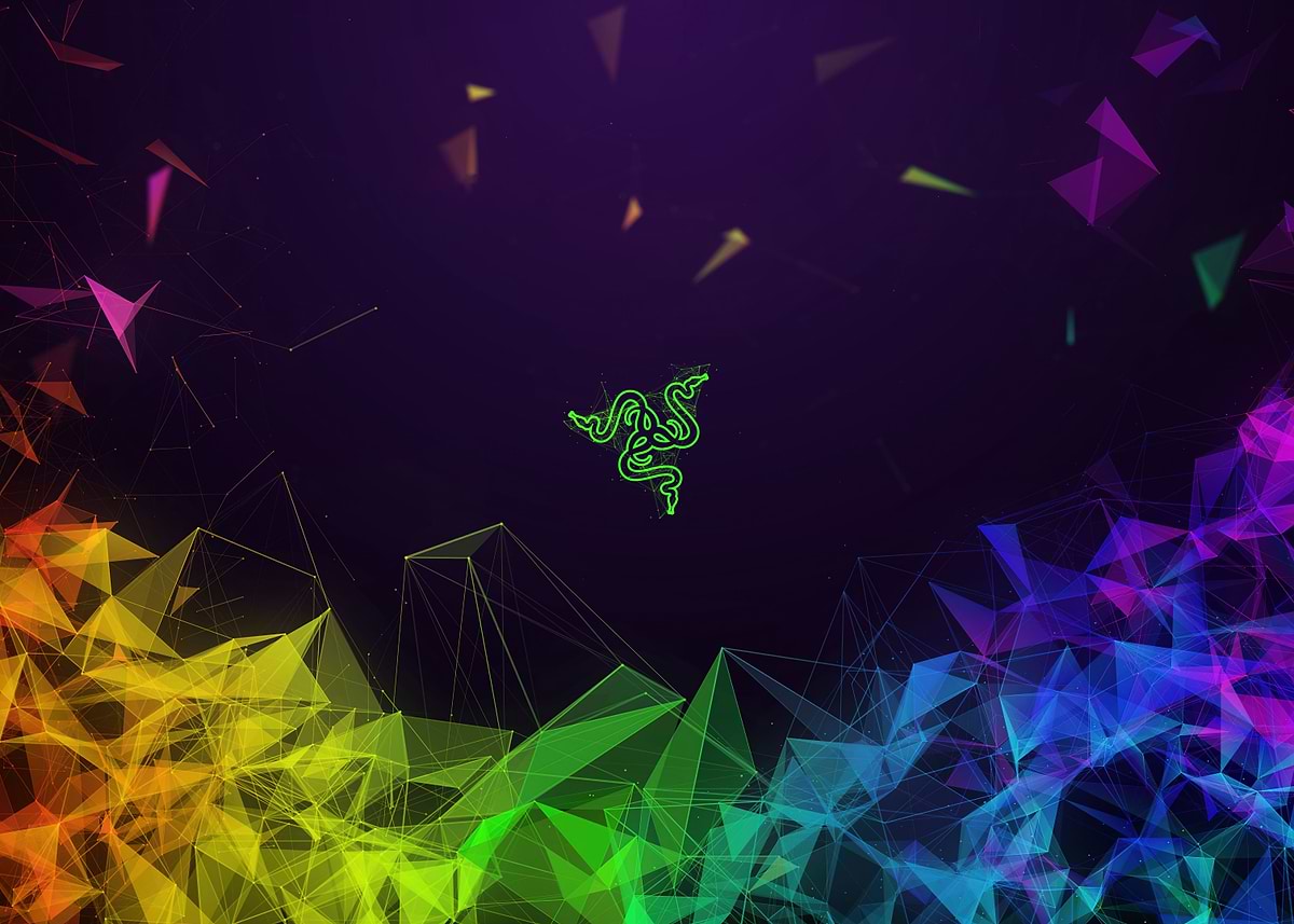 'Razer Logo' Poster, picture, metal print, paint by babi lonia | Displate