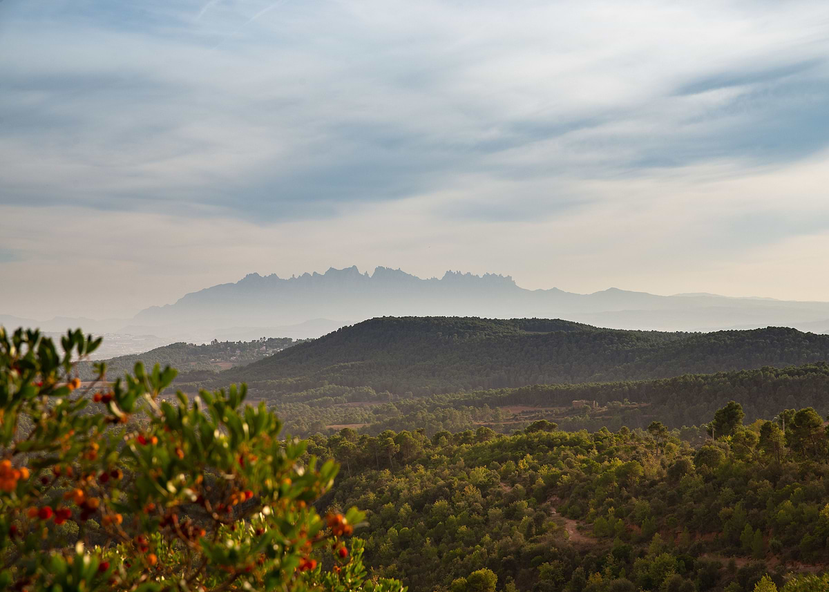 'Misty autumn Montserrat' Poster, picture, metal print, paint by Xemek ...