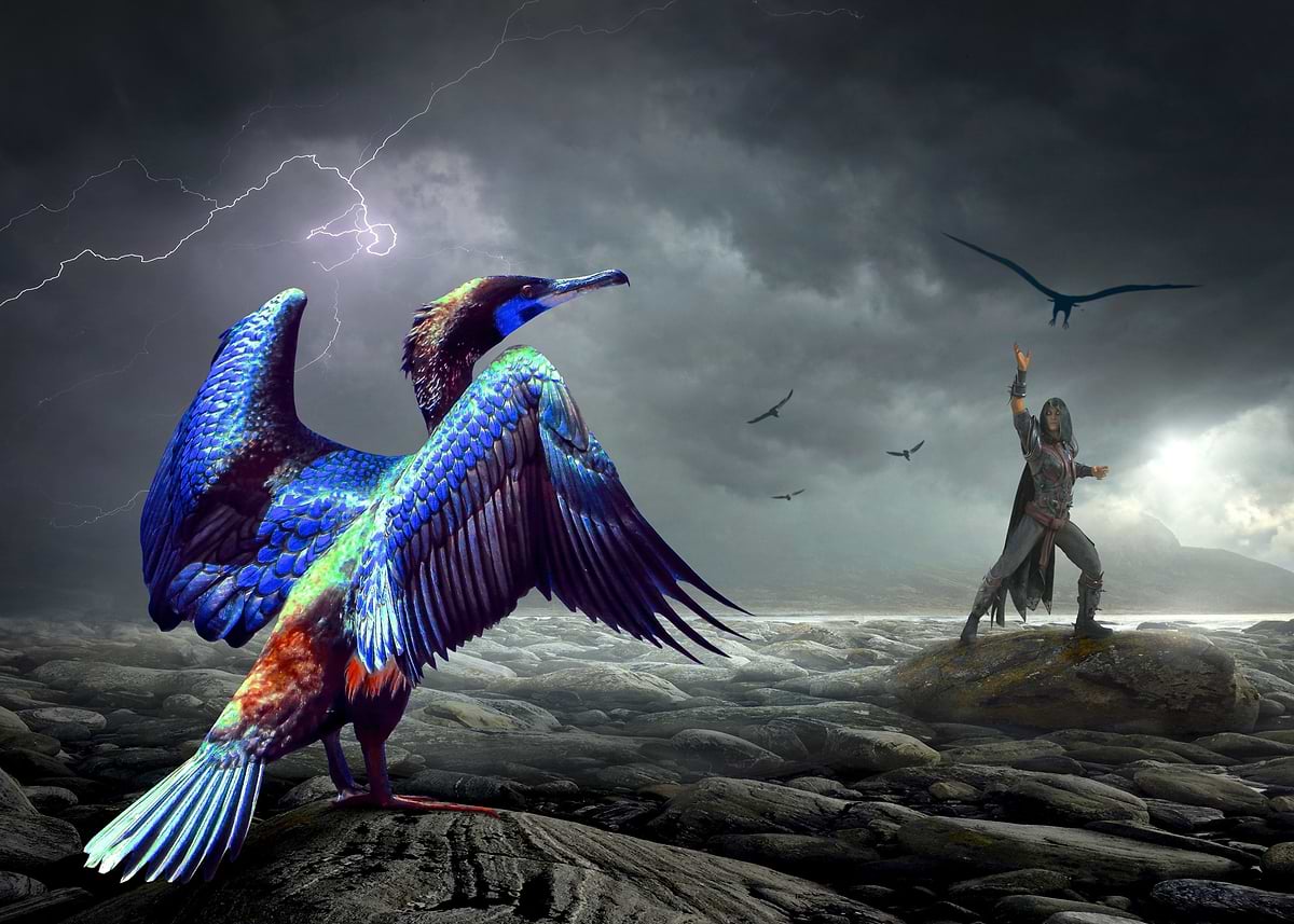 'magician with birds' Poster, picture, metal print, paint by D A N ...