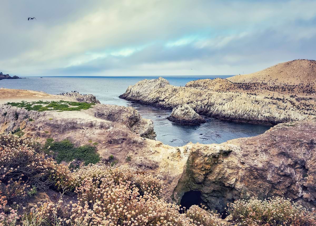 'Point Lobos Coast' Poster, picture, metal print, paint by Jonathan ...