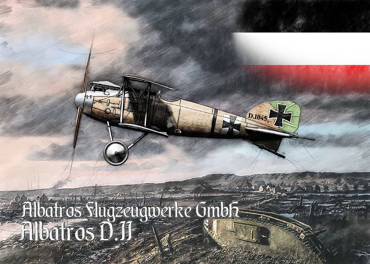 'Albatros D II' Poster, picture, metal print, paint by Pixxelworks ...