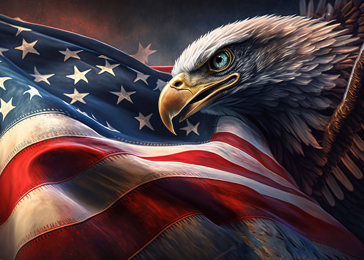 'American Pride' Poster, picture, metal print, paint by Paulix Bed ...