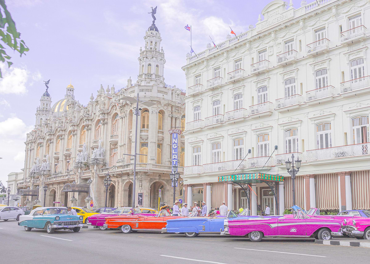 'Captivating the vibrance' Poster, picture, metal print, paint by Jess ...