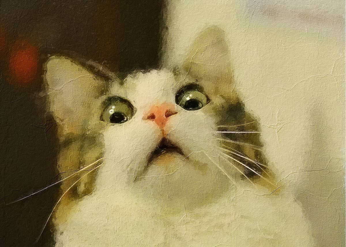 'Cat Meme' Poster, picture, metal print, paint by Meme Daily | Displate
