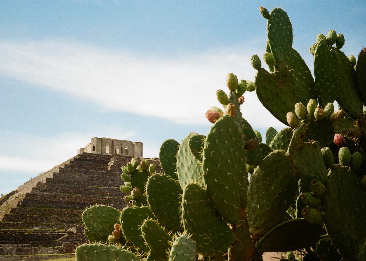 'Cactus and Ruins' Poster, picture, metal print, paint by Abigail ...