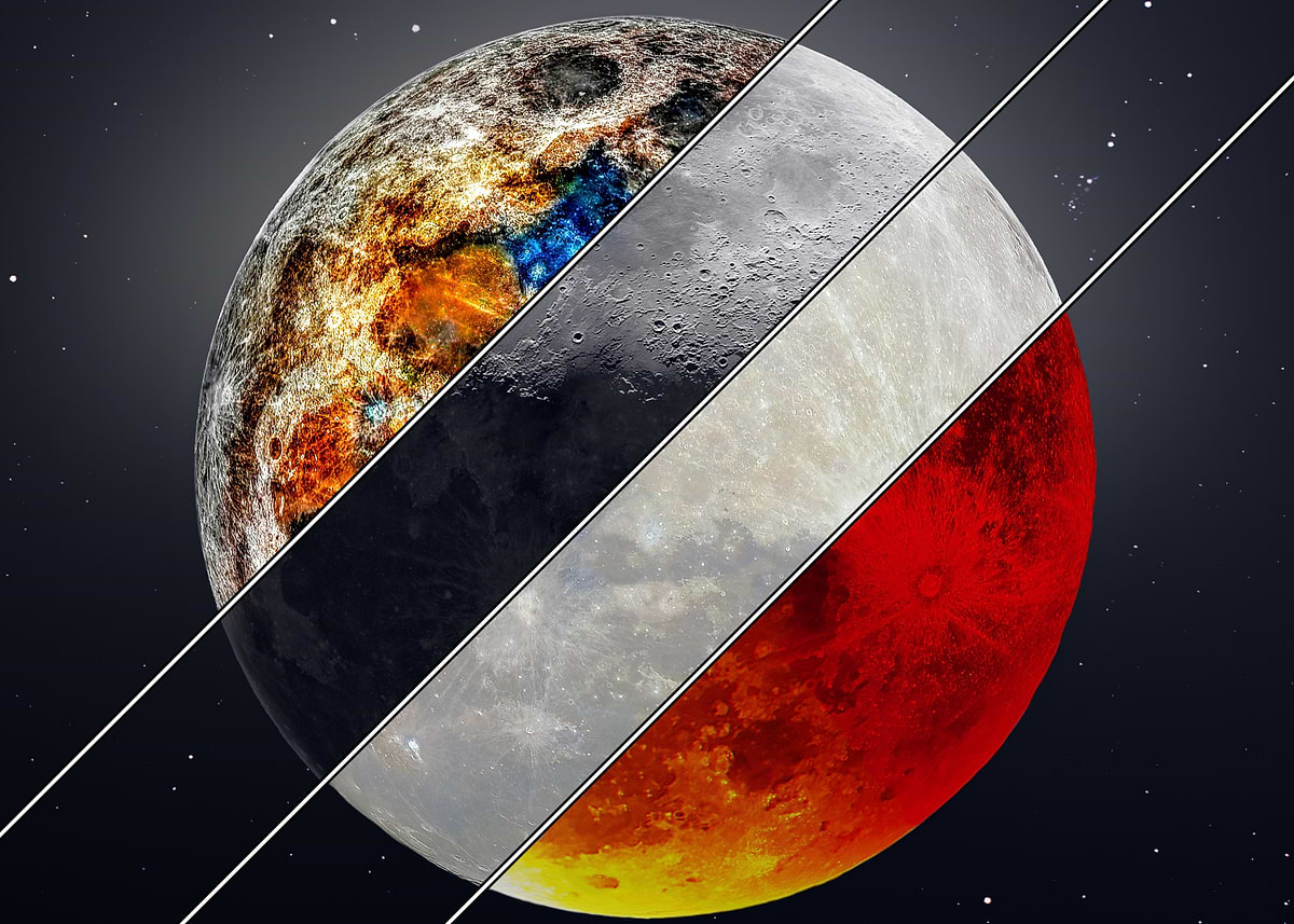 'Lunar Phases Collage' Poster, picture, metal print, paint by Drew Arts ...