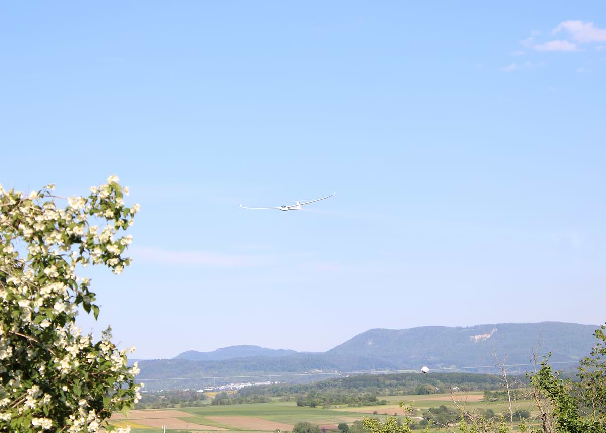 'Glider in Blue Sky' Poster, picture, metal print, paint by Stefan ...