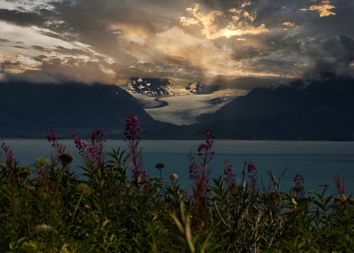 'Glacier Sunset Landscape In Homer Alaska' Poster, picture, metal print ...