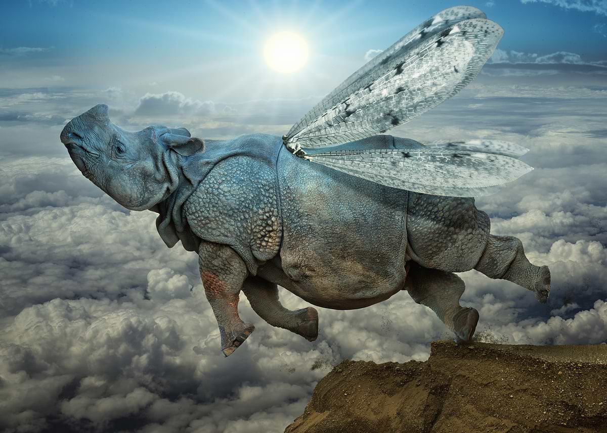'Flying Rhino' Poster, picture, metal print, paint by John Wilhelm ...