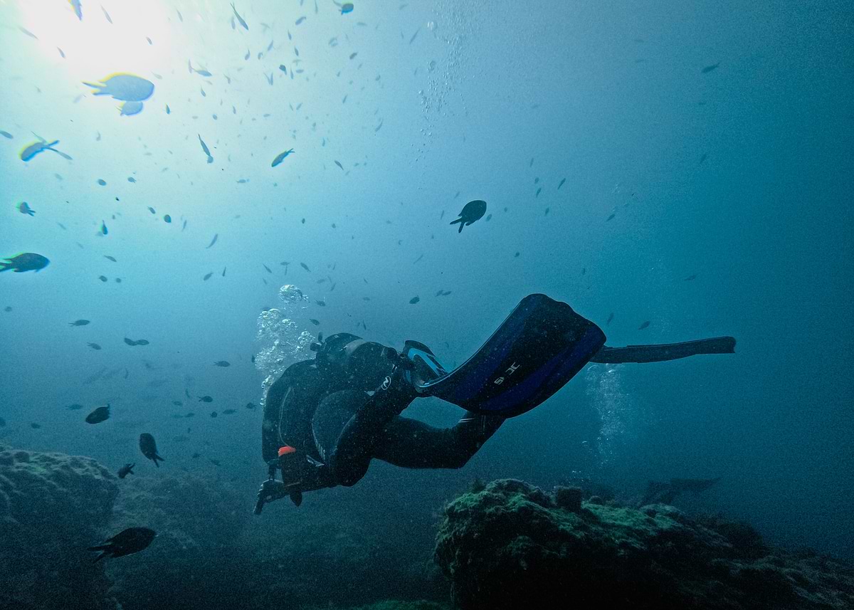 'Scuba Diver in Blue Water' Poster, picture, metal print, paint by ...