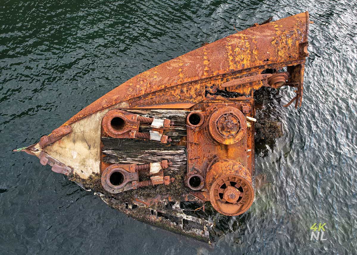 'S.S ILEX' Poster, picture, metal print, paint by 4KNL | Displate