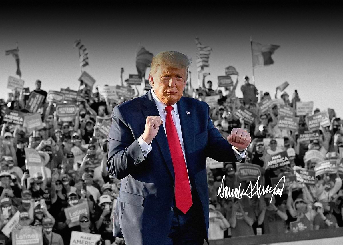 'Donald Trump's Signature Dance Move 2024' Poster, picture, metal print ...