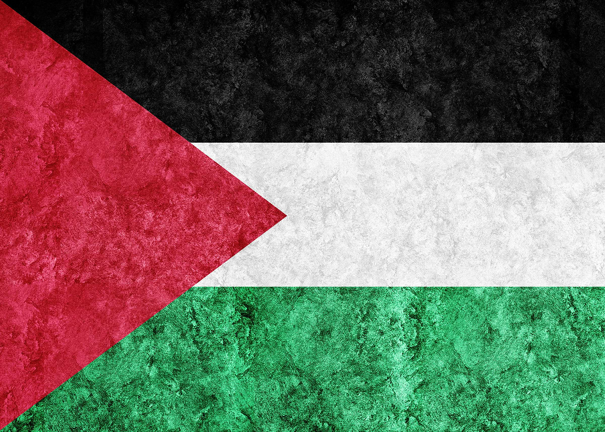 'Palestine' Poster, picture, metal print, paint by CINEMO | Displate