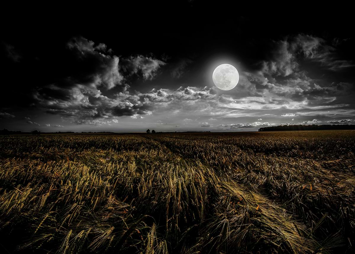 'Full Moon Over Field' Poster, picture, metal print, paint by PIXOSTER ...