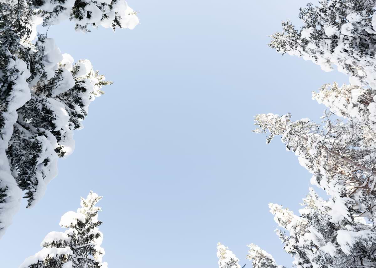 'Looking Up' Poster, picture, metal print, paint by Aleksandar Nikolov ...