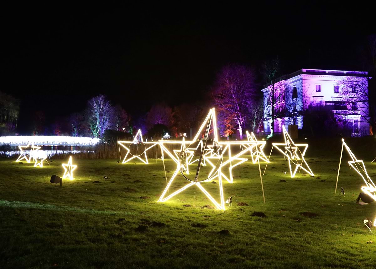 'Illuminated Stars in Garden' Poster, picture, metal print, paint by ...