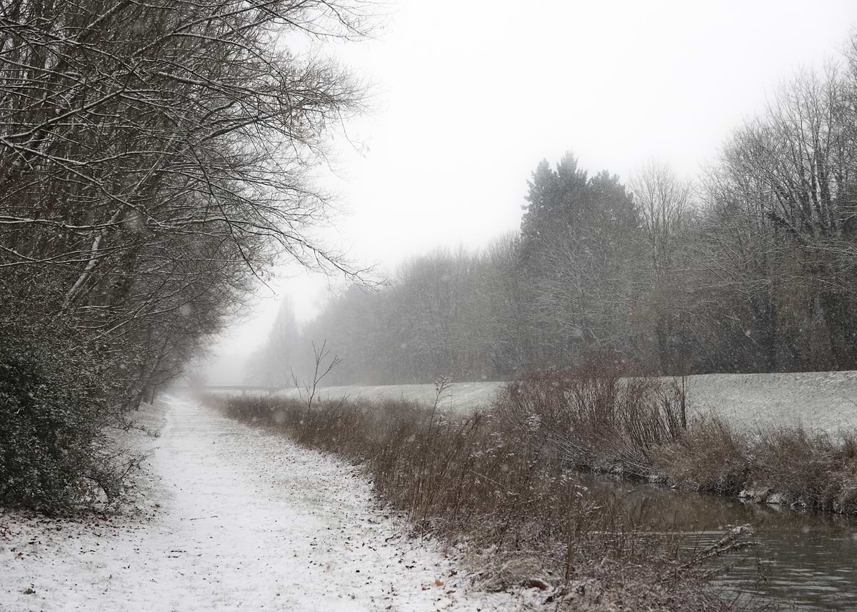 'Snowy Path in Winter' Poster, picture, metal print, paint by Tisu ...