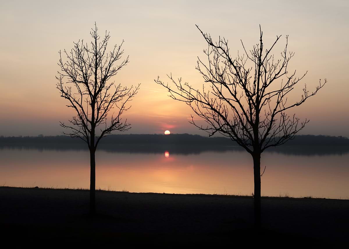 'Sunset Silhouette' Poster, picture, metal print, paint by Tisu ...