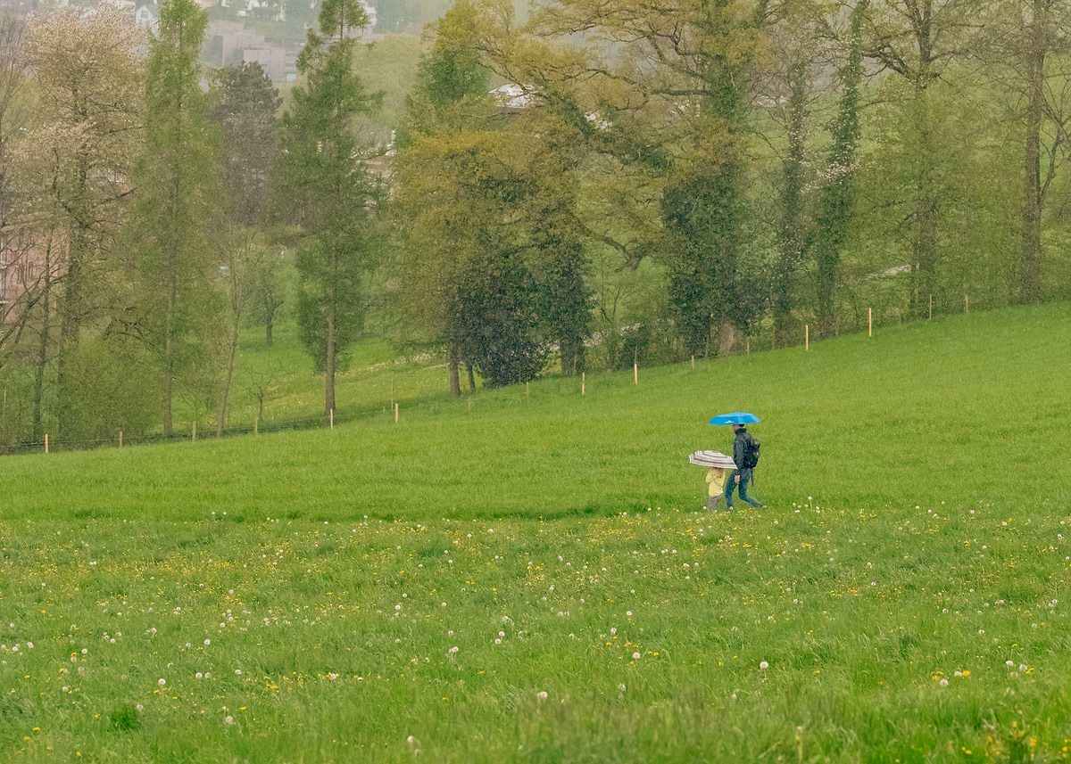 'Rainy Day Walk in the Fields of Kriens, Switzerland' Poster, picture ...