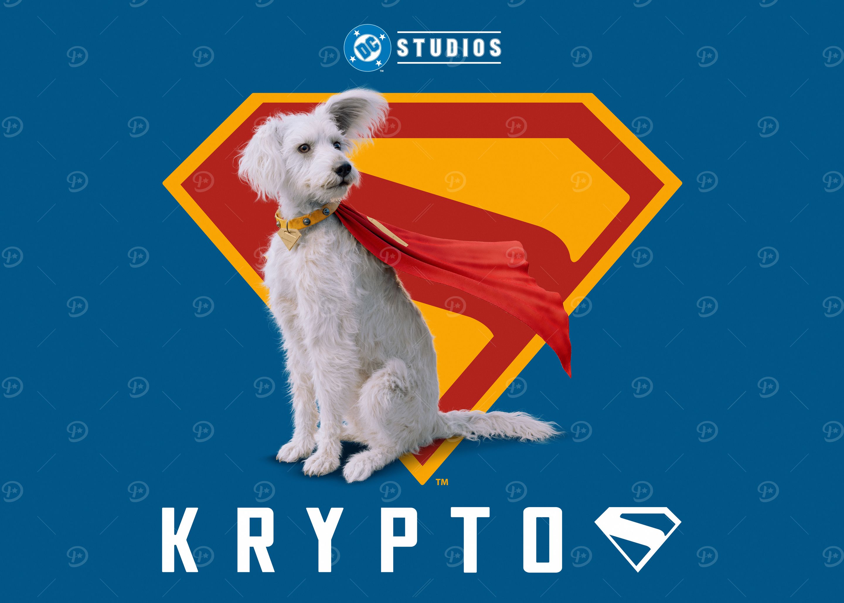'Krypto with Superman Shield Poster' Poster, picture, metal print, paint by DC Comics | Displate