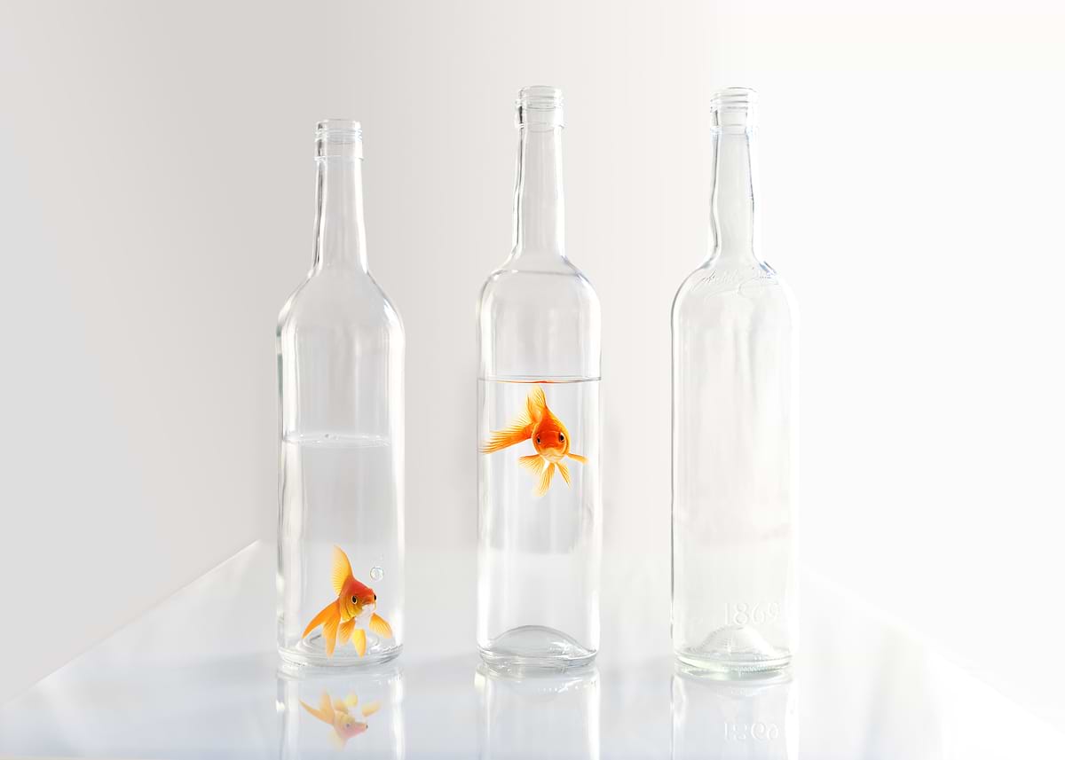 'Goldfish in Bottles Still Life' Poster, picture, metal print, paint by ...