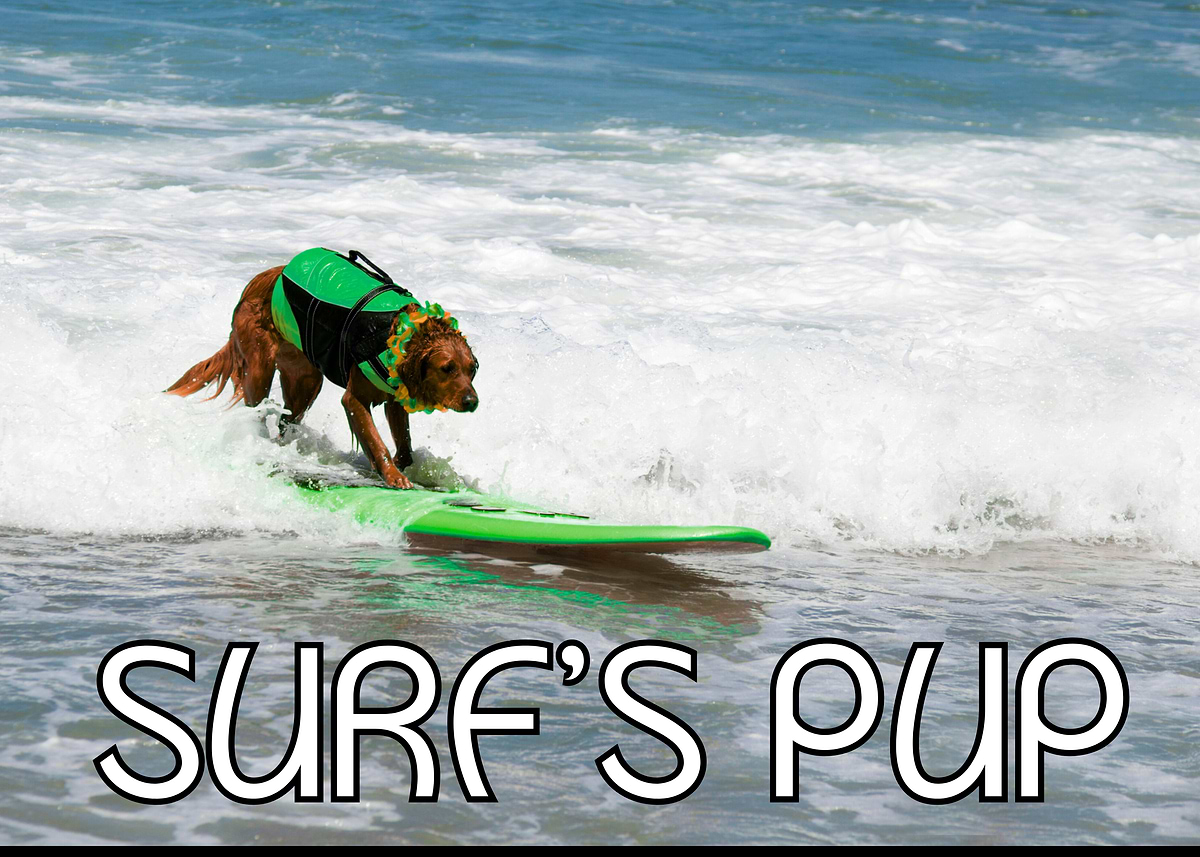 'Surf's Pup - Surfing Dog' Poster, picture, metal print, paint by Finn ...