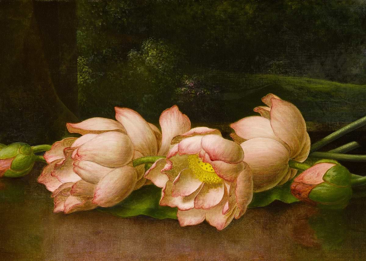 'Lotus Flowers Still Life Painting' Poster, picture, metal print, paint ...