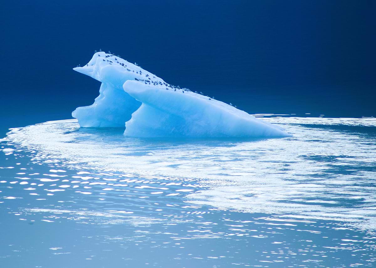 'Iceberg with Birds in Blue Water' Poster, picture, metal print, paint ...