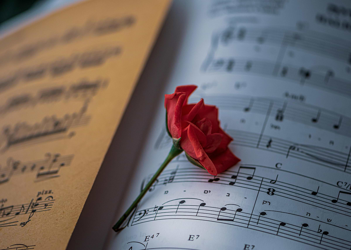'Red Rose on Sheet Music' Poster, picture, metal print, paint by MIMI ...