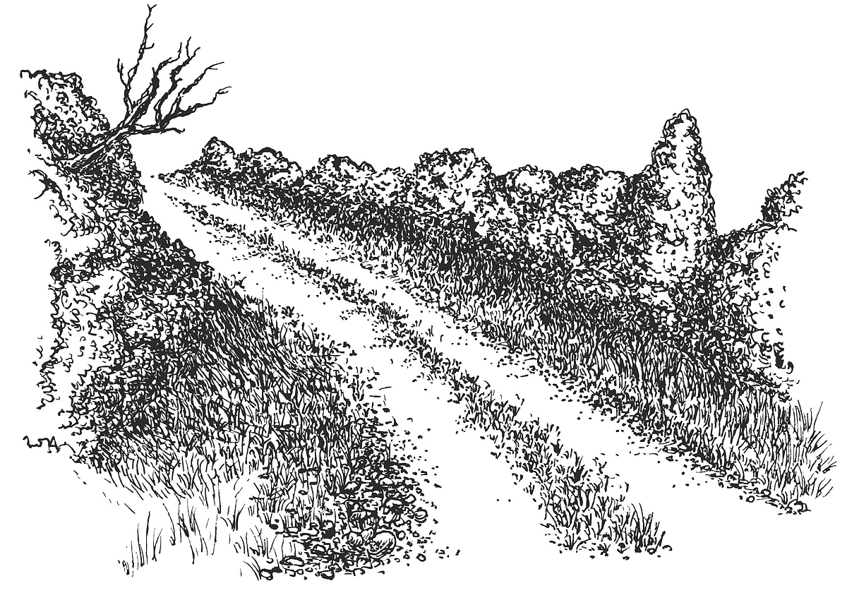 'Rural Road Ink Drawing' Poster, picture, metal print, paint by ...
