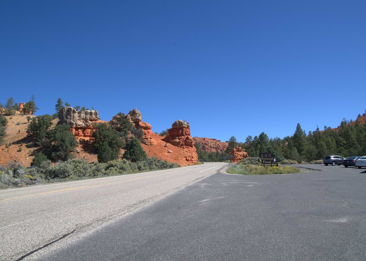 'Dixie National Forest Road Landscape' Poster, picture, metal print ...