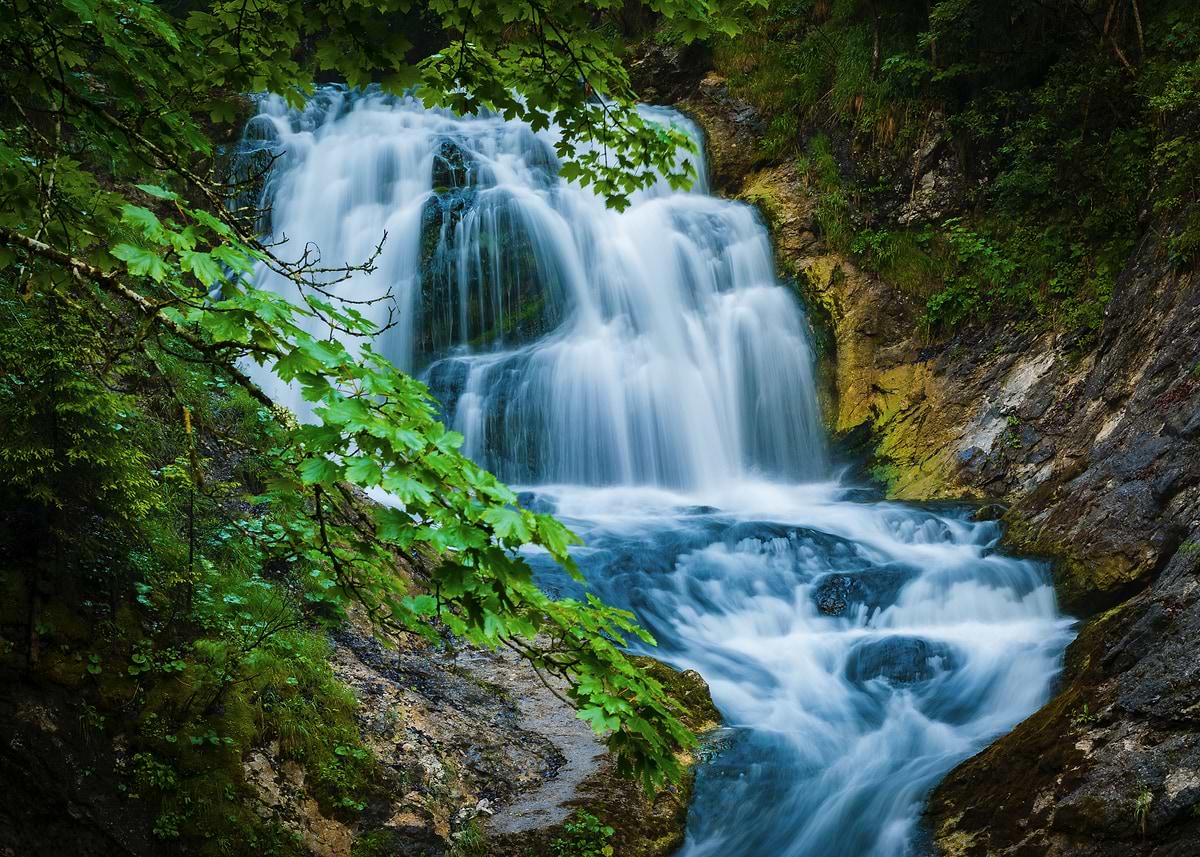 'Waterfall in Lush Green Forest' Poster, picture, metal print, paint by ...