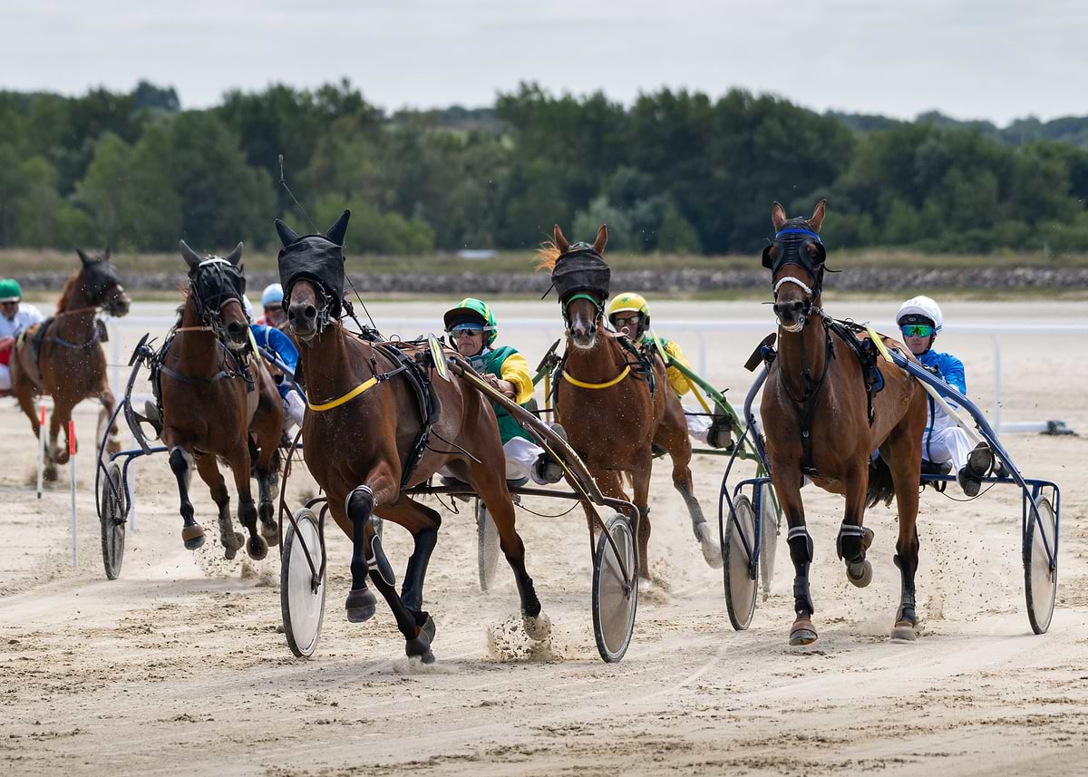 'Horse Racing on a Sandy Track' Poster, picture, metal print, paint by ...