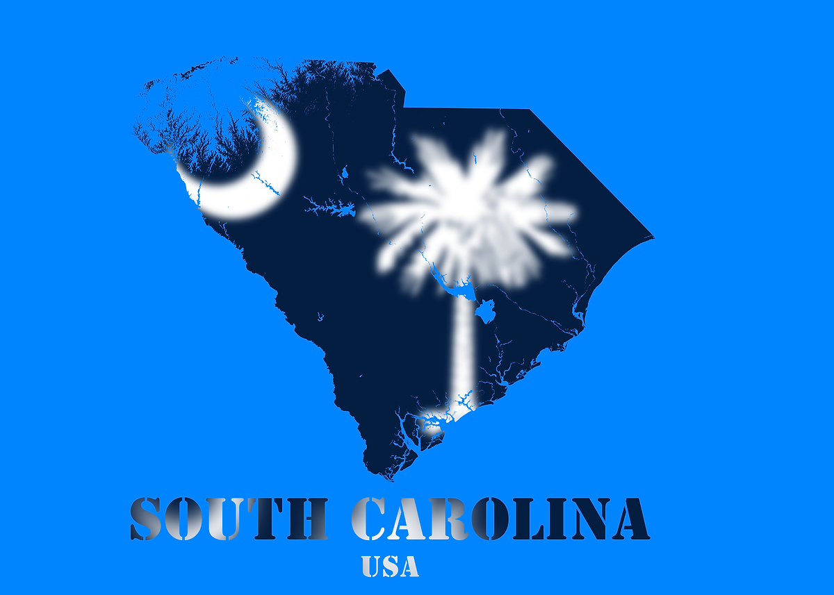 'South Carolina USA Topographic Contour Relief Map blending terrain ...
