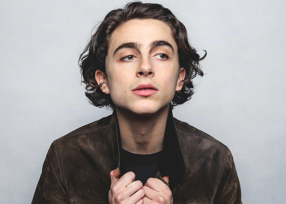 'Timothée Chalamet Portrait' Poster, picture, metal print, paint by ...