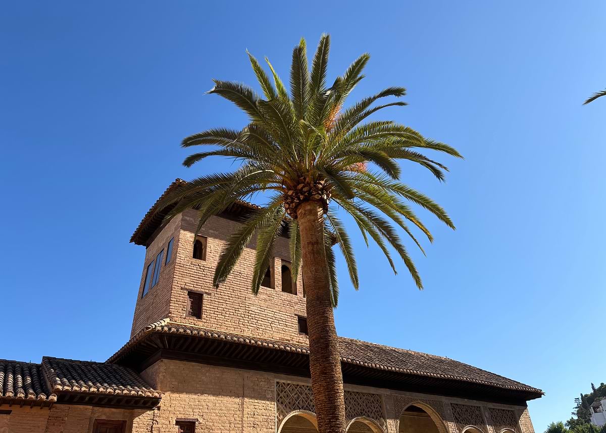 'Palm Tree and Alhambra Architecture' Poster, picture, metal print ...