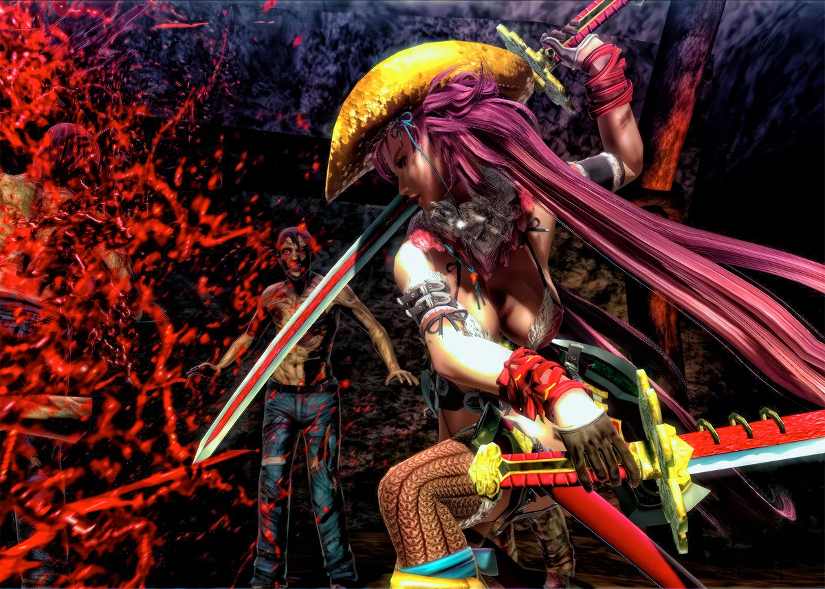 'Onechanbara Game Illustration' Poster, picture, metal print, paint by ...