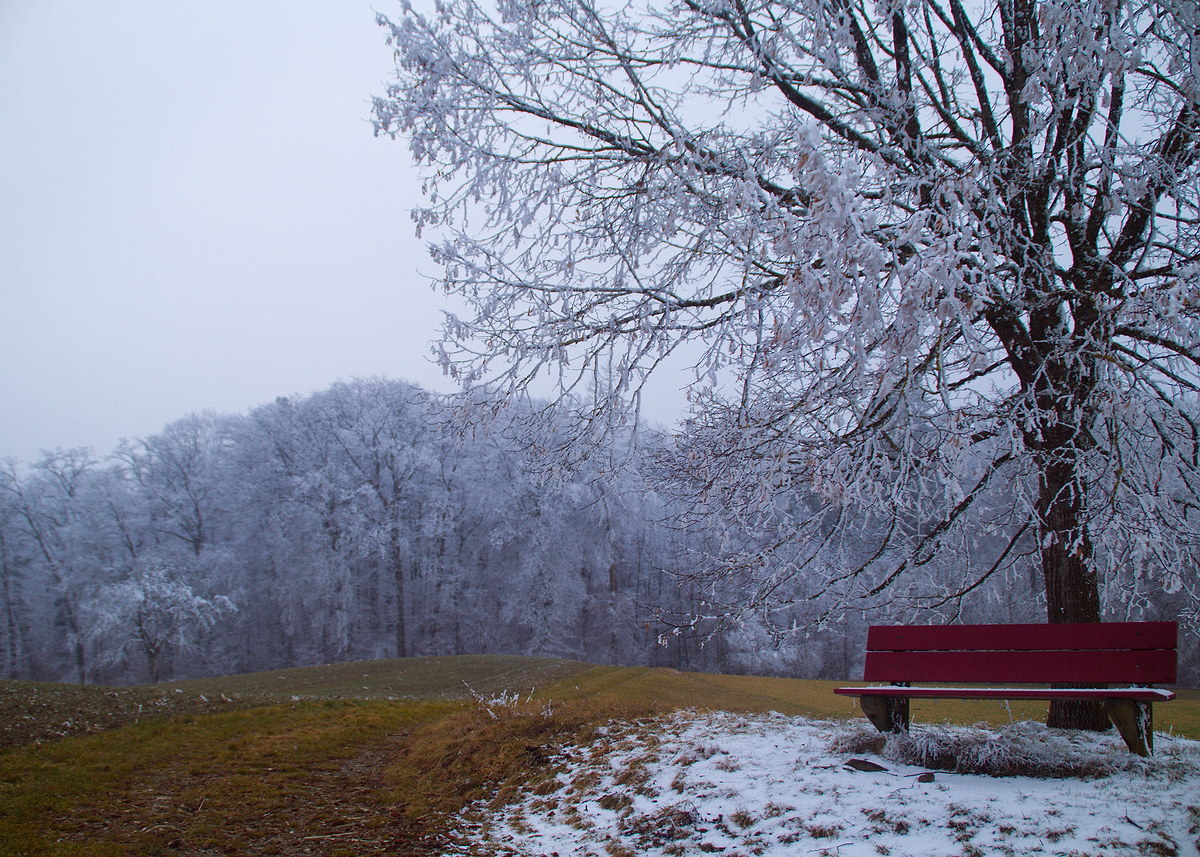 'Snowy Winter Landscape with Red Bench and Tree' Poster, picture, metal ...