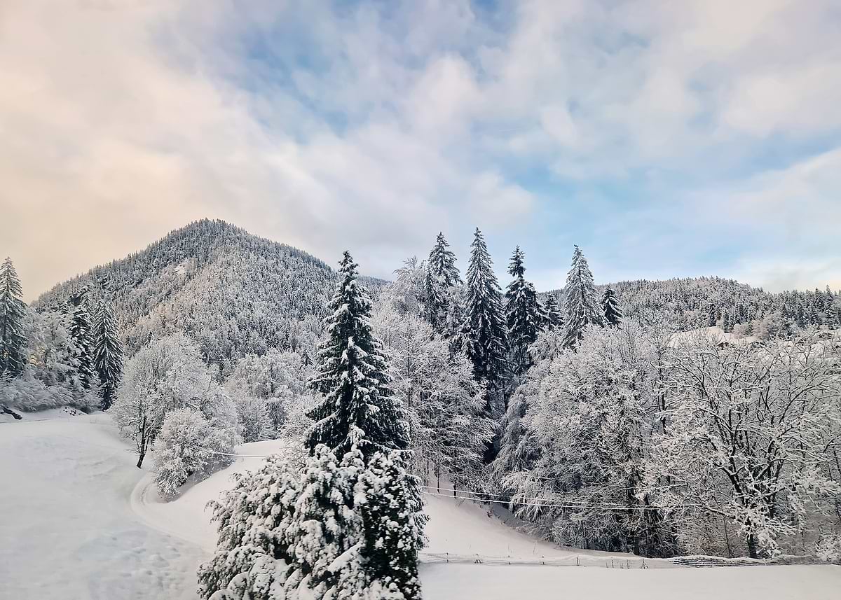 'Snow-covered mountain landscape with trees' Poster, picture, metal ...