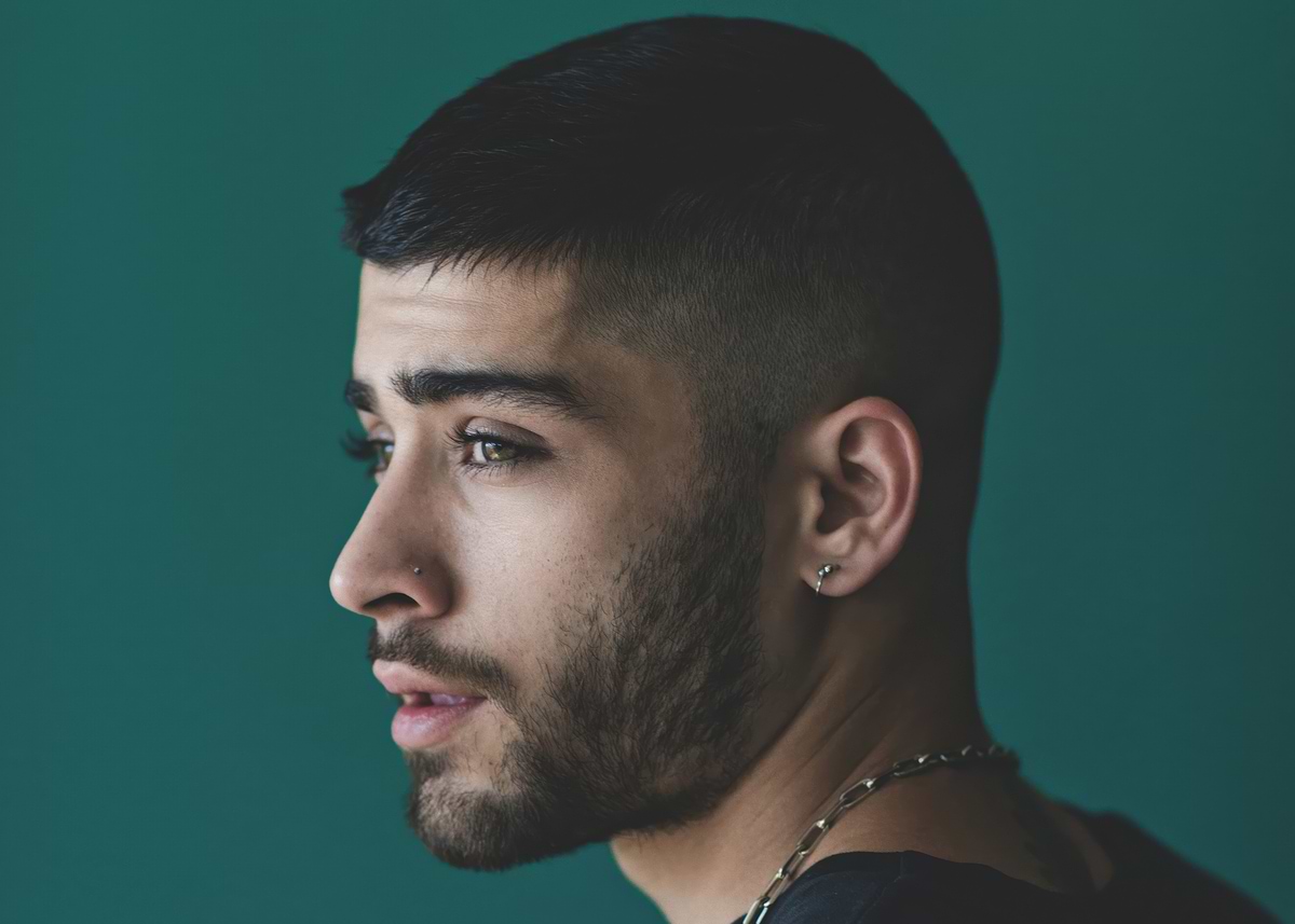 'Zayn Malik Profile Portrait' Poster, picture, metal print, paint by ...
