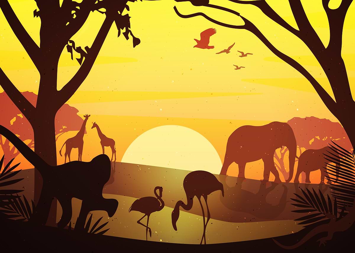 'African Safari Sunset Scene' Poster, picture, metal print, paint by ...