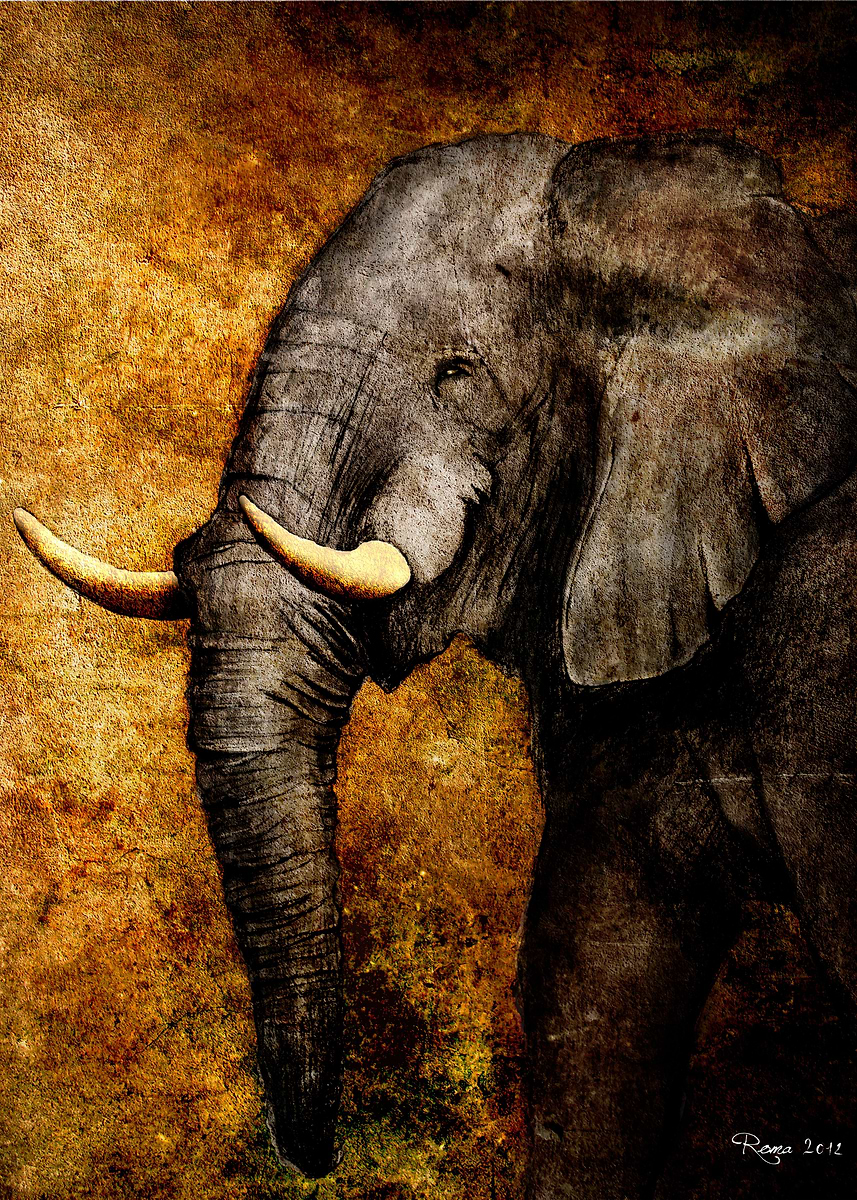 'From sktech to digital paint.' Poster, picture, metal print, paint by ...