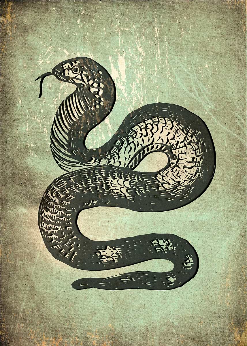'snake with vintage' Poster, picture, metal print, paint by Roswitha ...