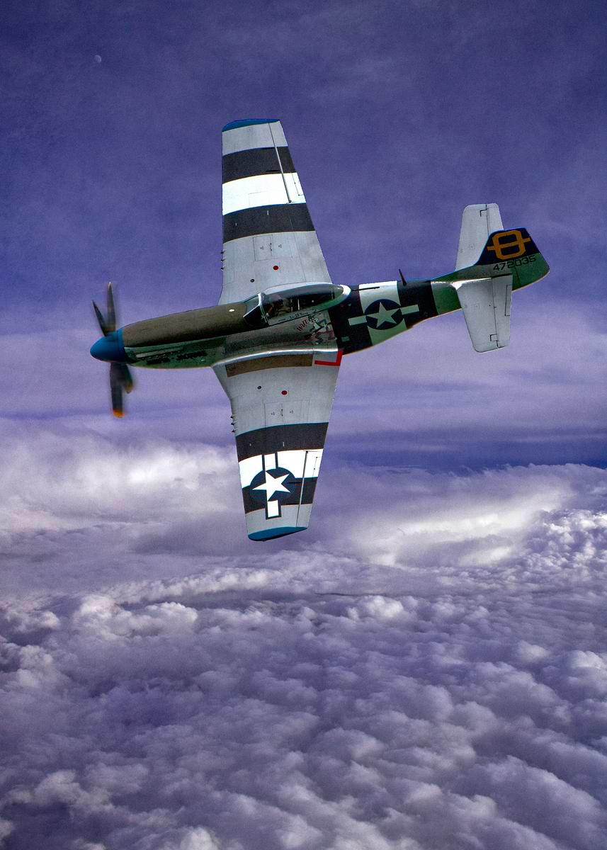 'North American P-51 Mustang Fighter' Poster, picture, metal print ...