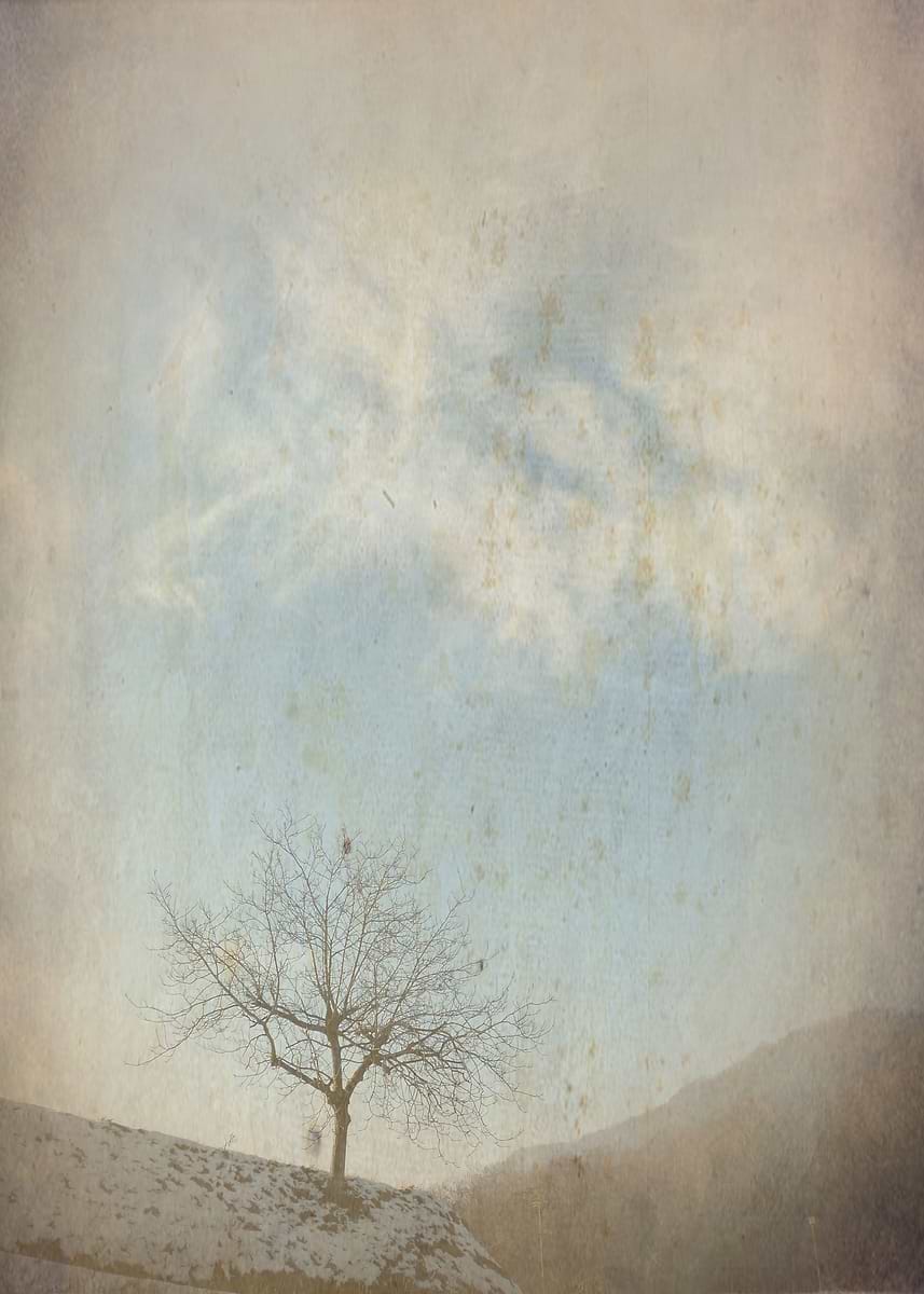 'Lonely Tree in Winter Sky' Poster, picture, metal print, paint by aRT ...