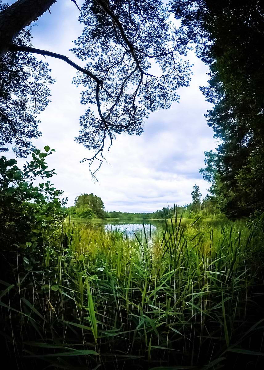 'Lake View' Poster, picture, metal print, paint by Nicklas Gustafsson ...